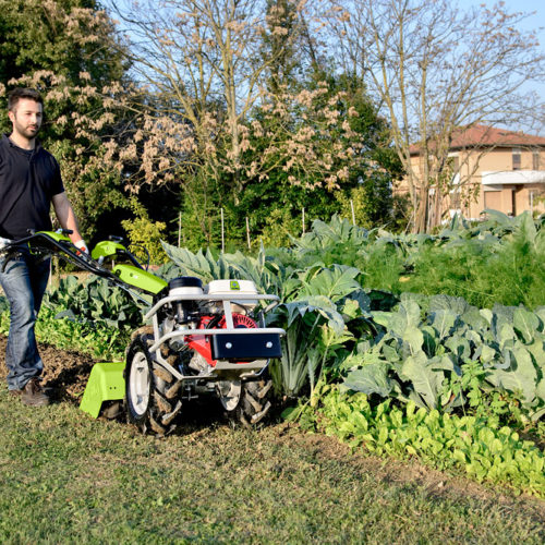Grillo G110 Two Wheeled Walking Tractor inc 77cm (30″) Tiller Head ...