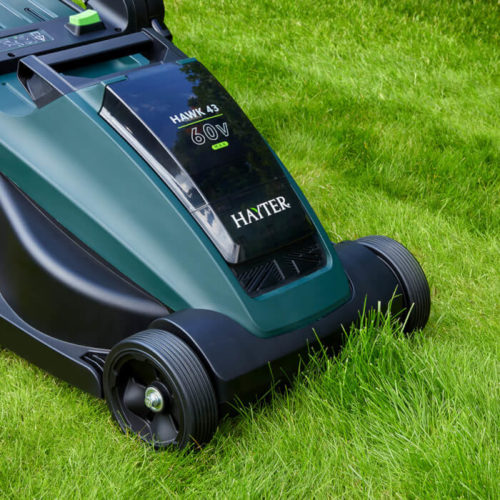 Hayter Hawk 43 Push Mower (CODE 554A) – Frank Nicol